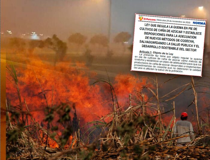 Promulgan ley que regula la quema de caña de azúcar y disponen nuevos ...