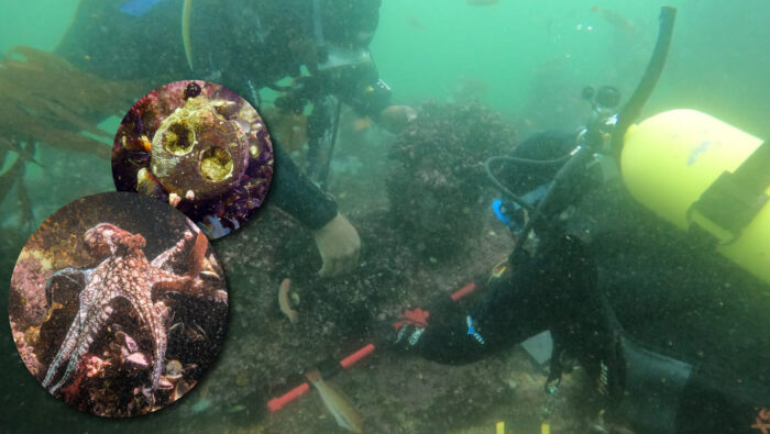 Descubre los secretos de los buques históricos de Chincha